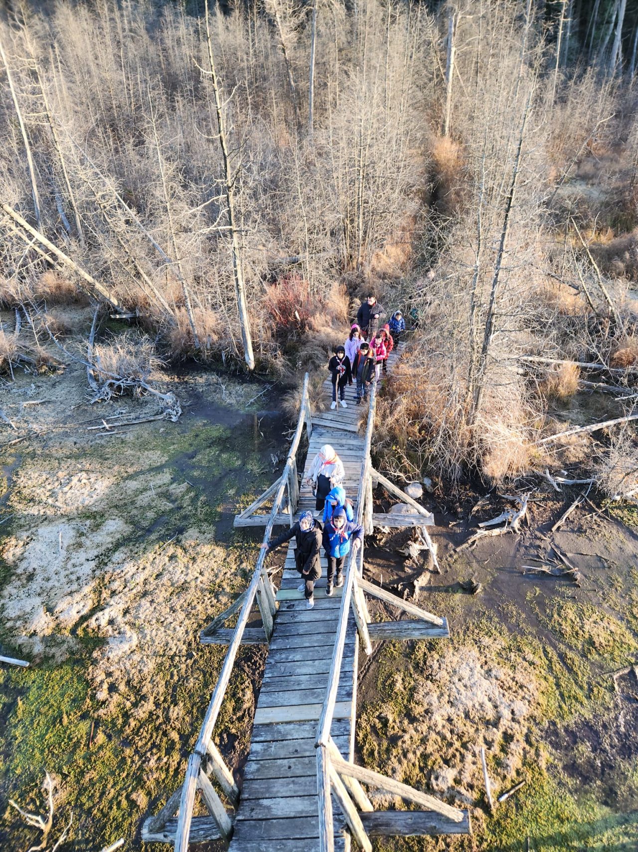 MAC National Scouts Program